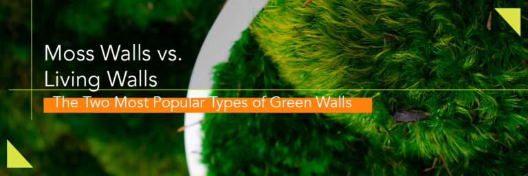 Types Of Green Walls - What Are They And What Do They Cost? | Green Oasis