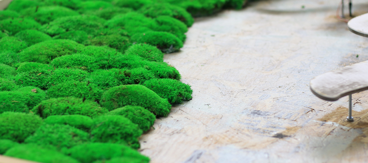 Cost Of A Moss Wall | Green Oasis