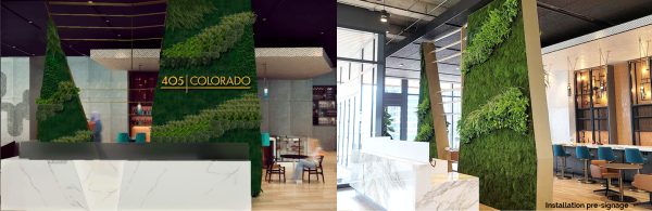 Buyers Guide To 3D Renderings For Green Wall Projects | Green Oasis