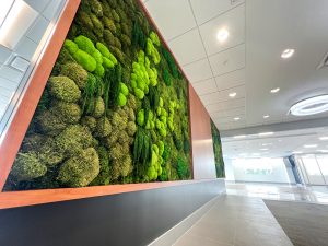 Moss Color Guide | Green Oasis