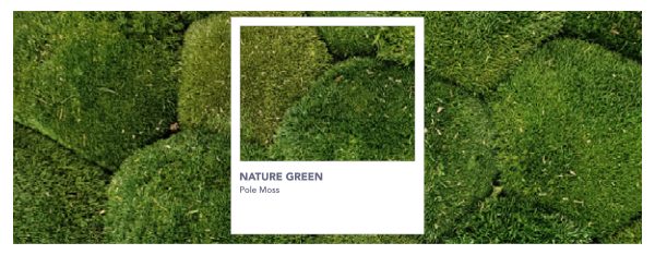 Moss Color Guide | Green Oasis