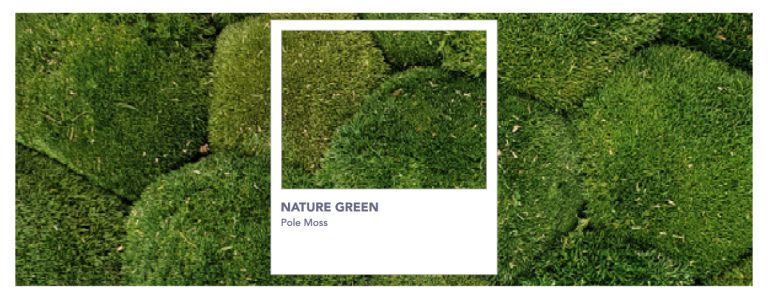 Moss Color Guide | Green Oasis