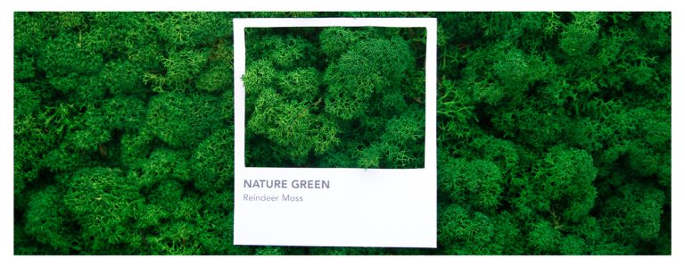 Moss Color Guide | Green Oasis