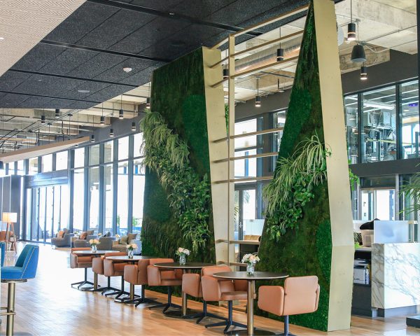 Living Plant Walls | Green Oasis | Green Oasis