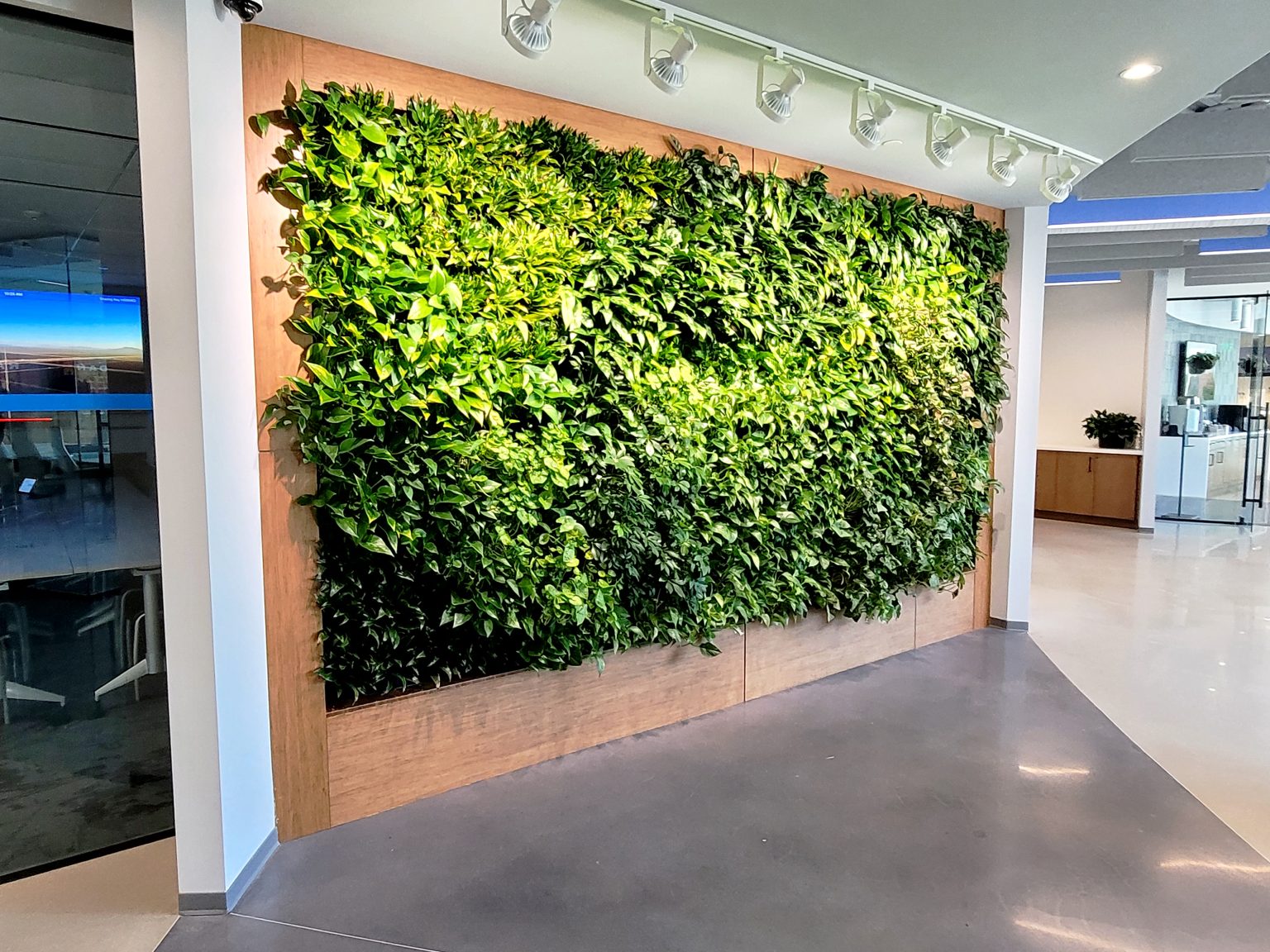 Types Of Green Walls - What Are They And What Do They Cost? | Green Oasis