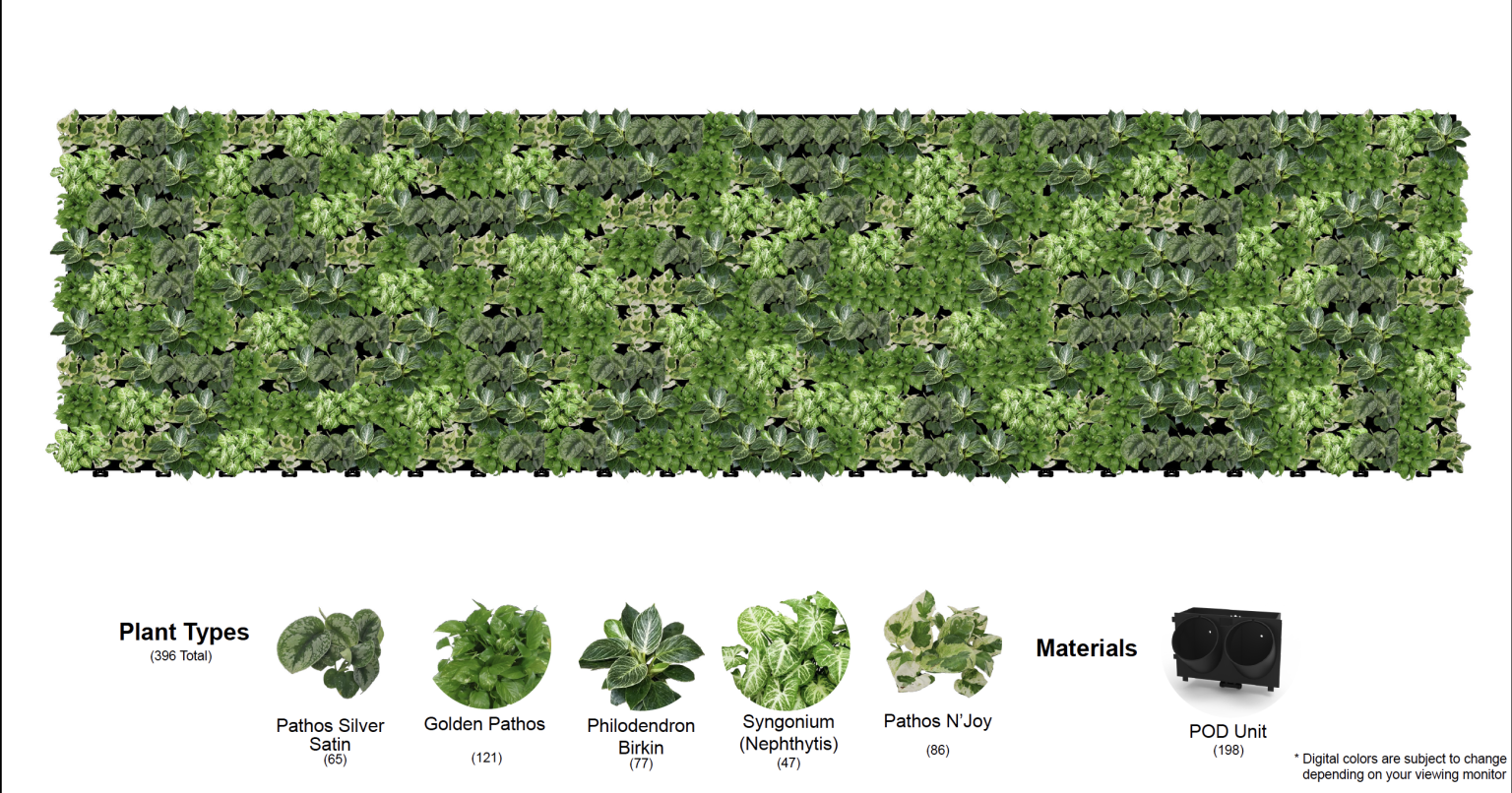 Curved Living Plant Wall Project | Green Oasis