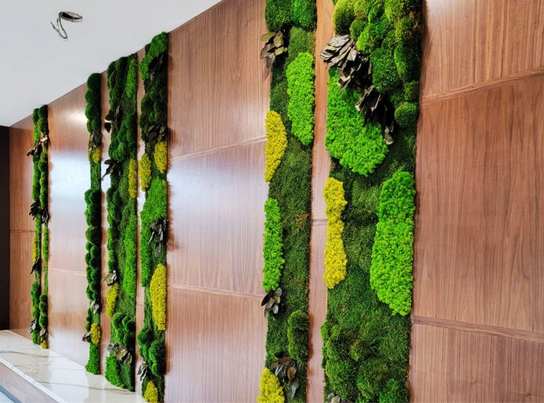Moss Walls | Order Indoor Preserved Moss Walls - Green Oasis