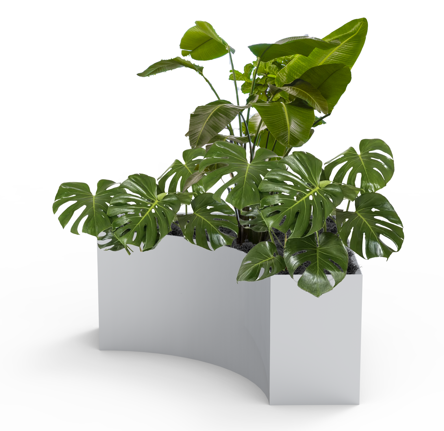 CONNECT Planters | Green Oasis