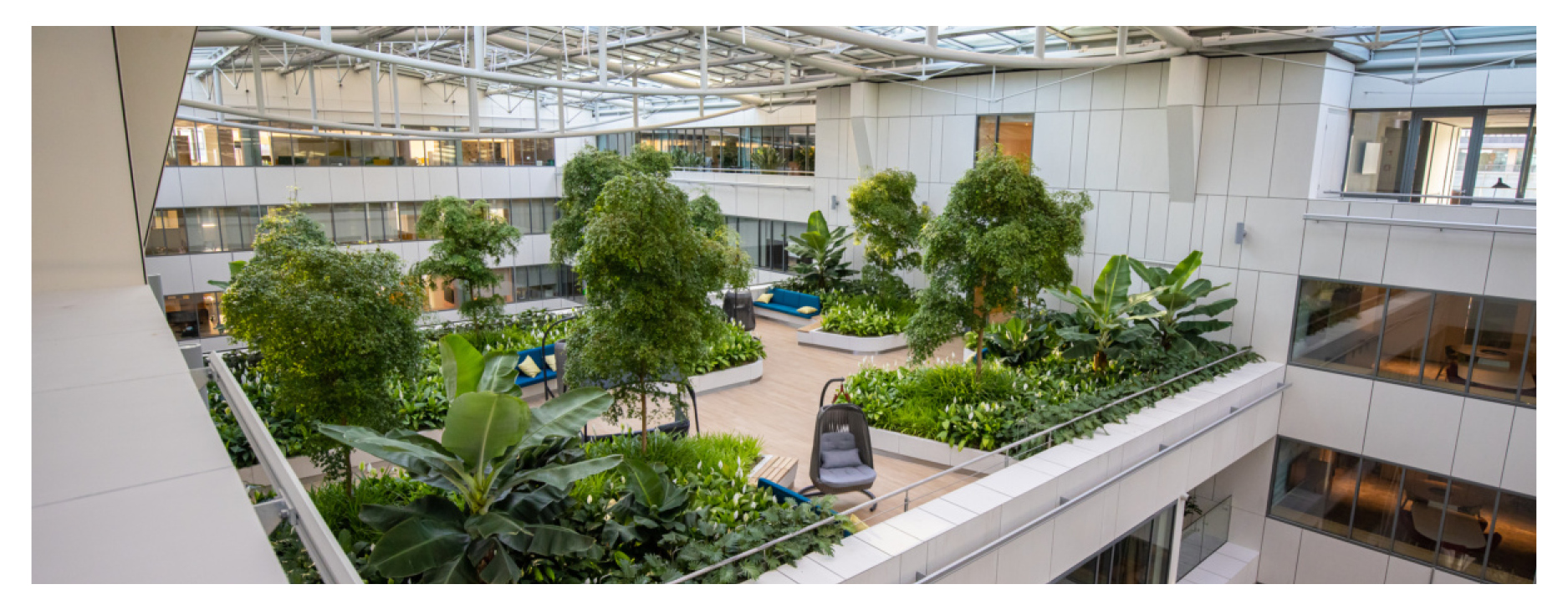Biophilic Greenery In The EU | Green Oasis