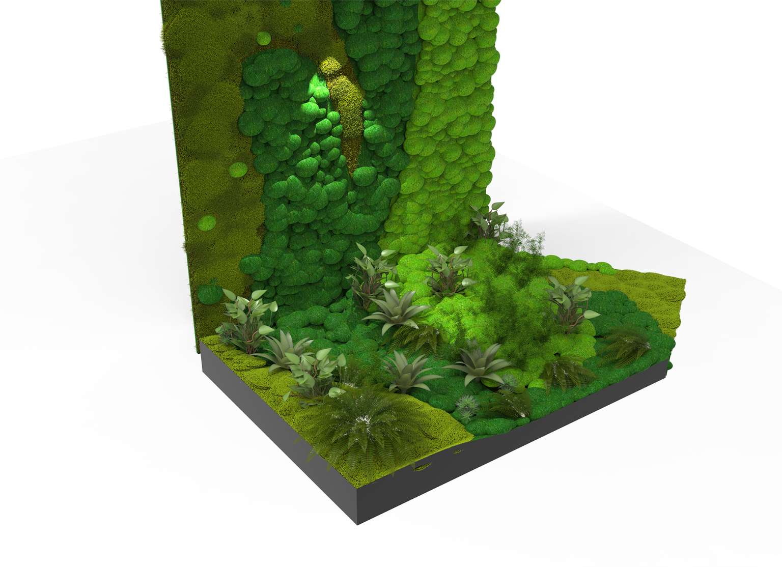 About Green Oasis | Green Oasis
