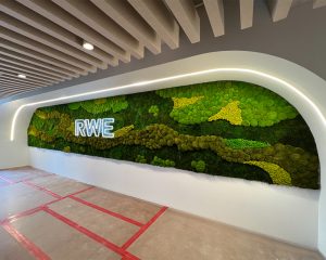Moss Walls | Order Indoor Preserved Moss Walls - Green Oasis