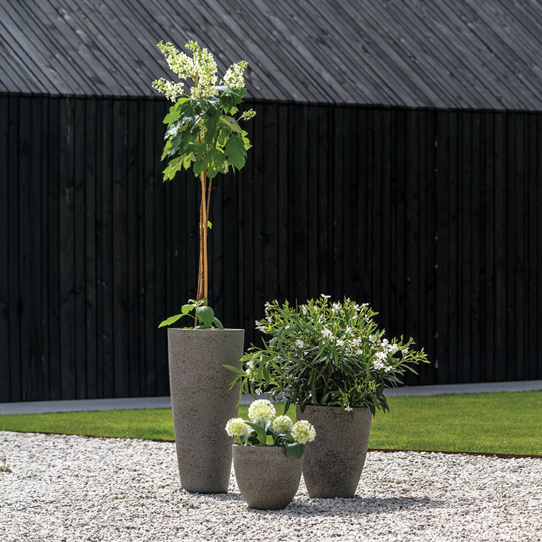 Steen Series – Green Oasis